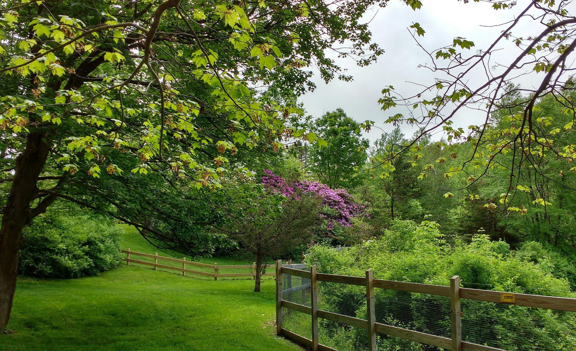 Safe Haven Farm Sanctuary – Dedicated to compassion toward all beings