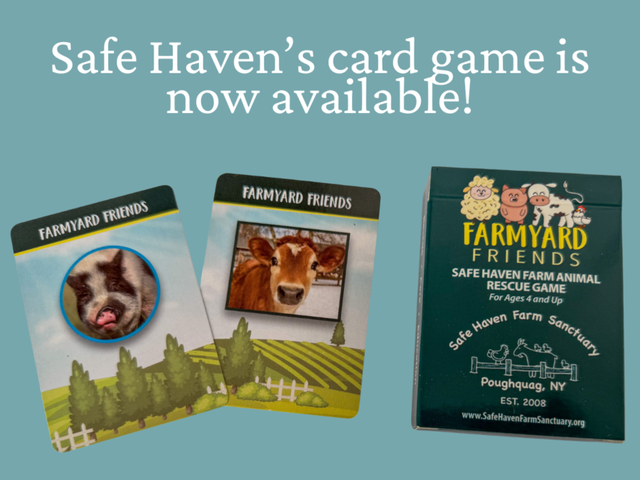 Safe Haven Card Game – Safe Haven Farm Sanctuary
